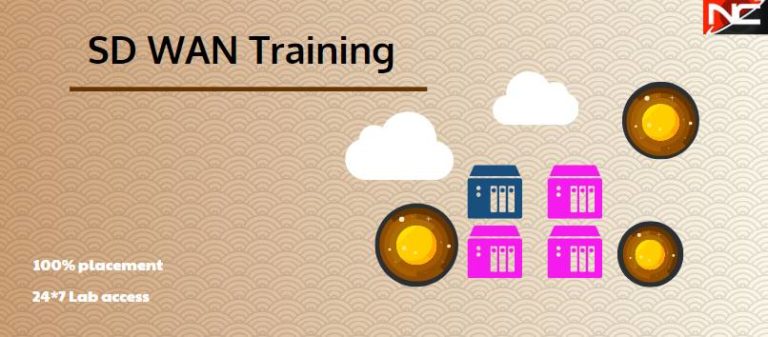 SD WAN Training In Bangalore - SD WAN Certification